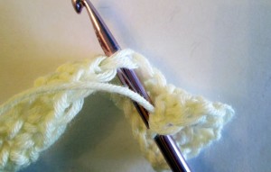 How to Crochet Shell Edging - Wild Blossom Life