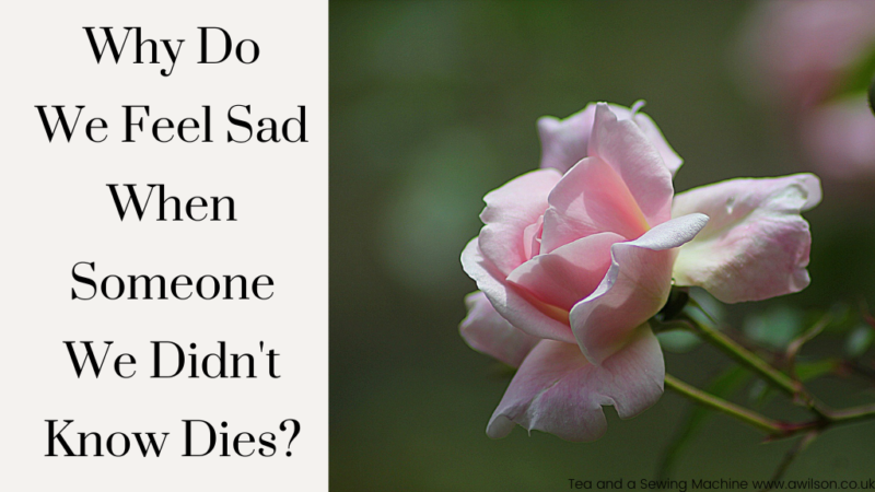 Why Do We Feel Sad When Someone We Didn't Know Dies? - Wild Blossom Life