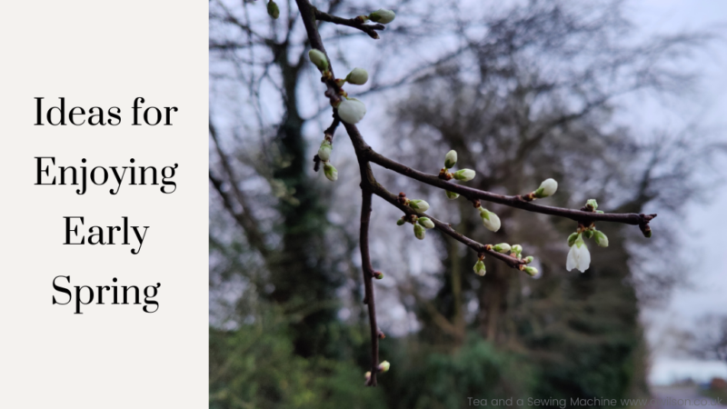 Ideas for Enjoying Early Spring - Wild Blossom Life