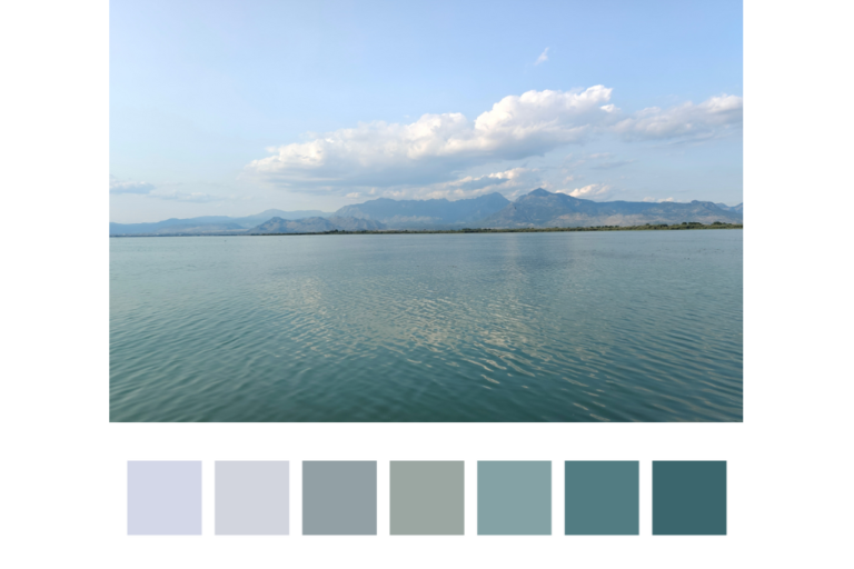 Crafted Colours: Creating Colour Schemes From Photos - Wild Blossom Life