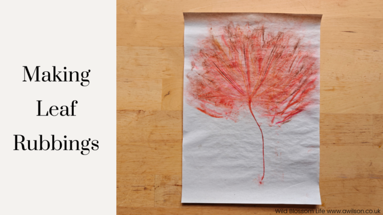Making Leaf Rubbings - Wild Blossom Life